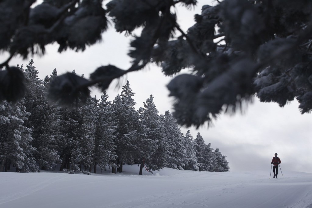 La Romeufontaine, le trail de Font-Romeu